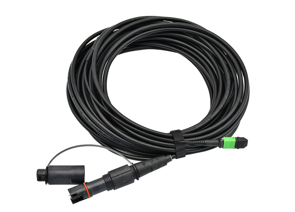 Choosing the Best for Your Network A Guide to Types and Applications of ...